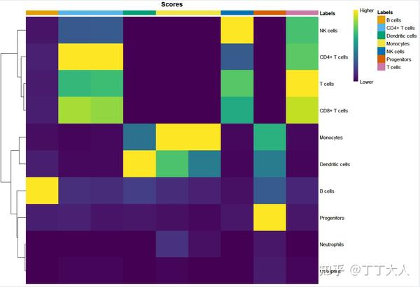 单细胞/单细胞核数据细胞自动化注释 - 知乎