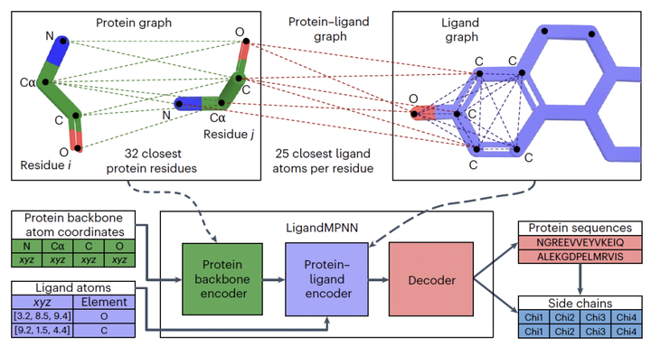 Nature Methods | 从分子相遇到精准设计：LigandMPNN 解锁蛋白智能生成 - 知乎