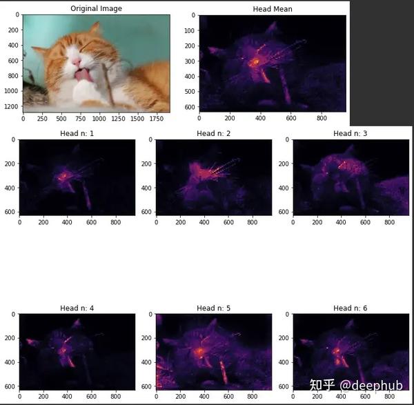 可视化VIT中的注意力 - 知乎