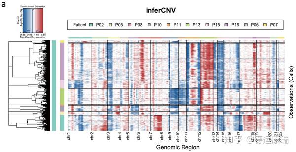 聚焦生信 | 肿瘤恶性细胞鉴定-inferCNV原理及应用全面教程-附代码 - 知乎