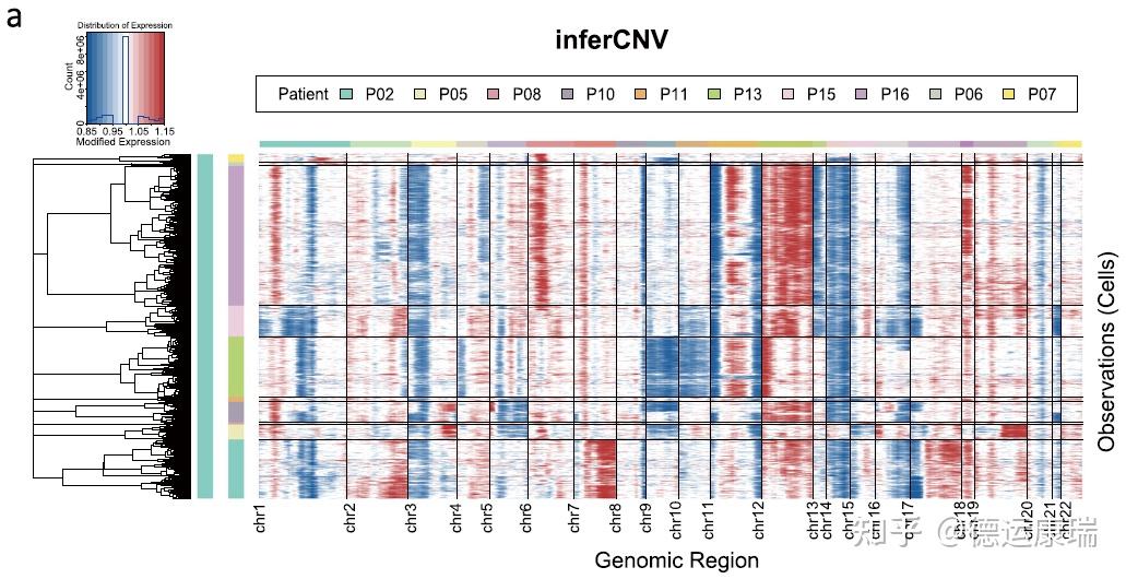 聚焦生信 | 肿瘤恶性细胞鉴定-inferCNV原理及应用全面教程-附代码 - 知乎