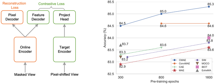 CMAE：对比掩码自编码器是更强大的视觉学习者(速读版) - 知乎