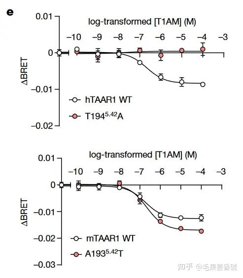 TAAR1的配体识别和G蛋白偶联机制 - 知乎