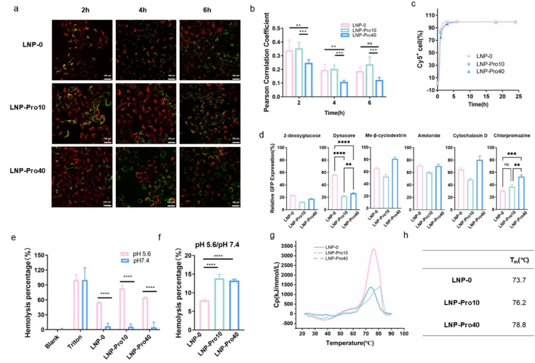 深圳湾实验室李茂/哈工大杨奎琨Small：ROS 响应+协同治疗，LNP-Pro为抗肿瘤提供新路径 - 知乎