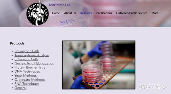 师姐做RNA抽提、RT-qPCR、WB等实验竟然可以这样操作！看完直接震惊我一年…… - 知乎