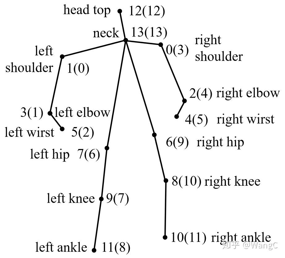 姿态估计数据集可视化【附代码】 - 知乎