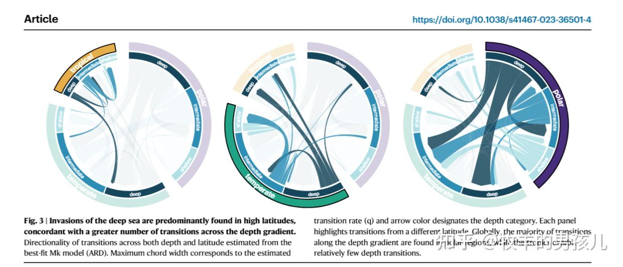 跟着Nature Communications学作图：R语言circlize包做漂亮的弦图 - 知乎