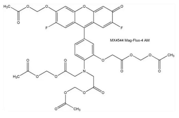 Mag-Fluo-4 AM，Mag-Fluo-4 AM可以与钙离子结合，形成荧光复合物 - 知乎
