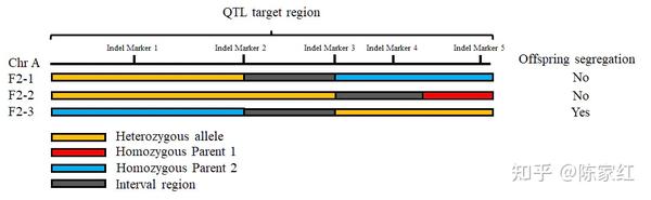 Fine mapping定位QTL - 知乎