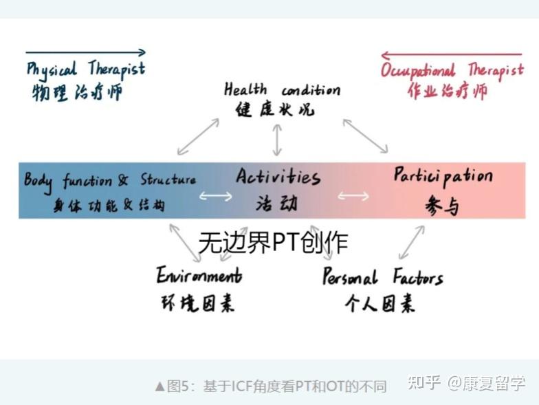 解密OT(作业治疗师)——一图看懂PT和OT的区别 - 知乎