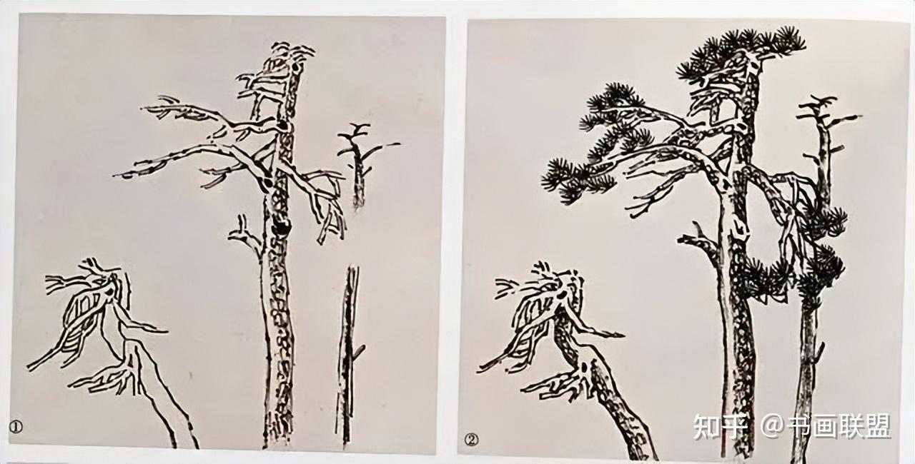 国画技法 松树的各种画法 - 知乎