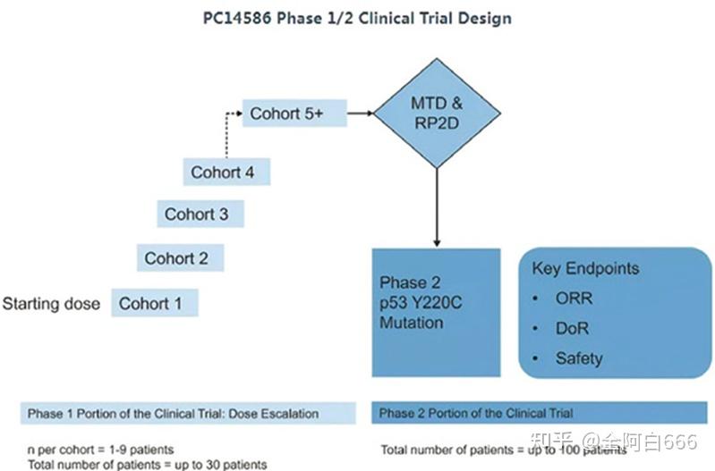 靶向p53 y220c突变体的共价策略 - 知乎