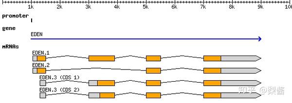 [生信资料 3] 生物信息学常见数据格式，汇总！ - 知乎