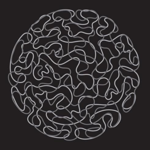 大脑黑客专栏 - 知乎