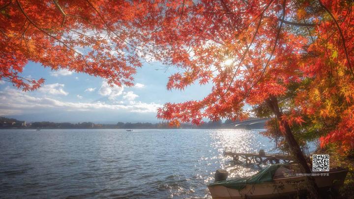 @main.result_callback()，multiple=True，methods = {key: item for (key ...