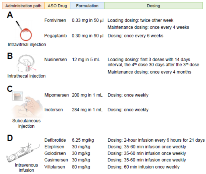 解读 │ FDA 批准的反义寡核苷酸药物的吸收、分布、代谢和排泄特征 - 知乎