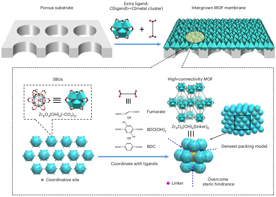 南工大最新《Nature Materials》：MOF膜 - 知乎