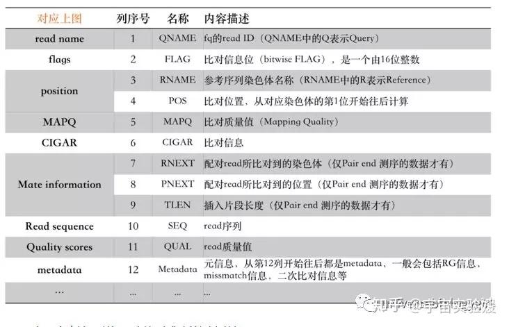 SAM文件相关的进阶知识点（上） - 知乎