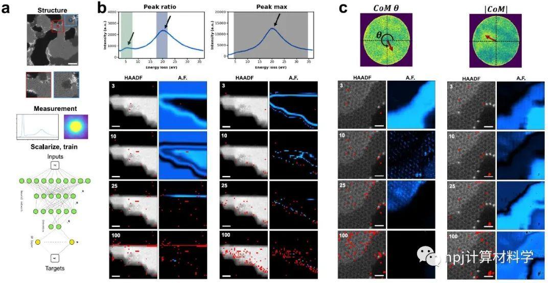 当电子显微镜遇上AI：自动化实验引领科技新潮流 - 知乎