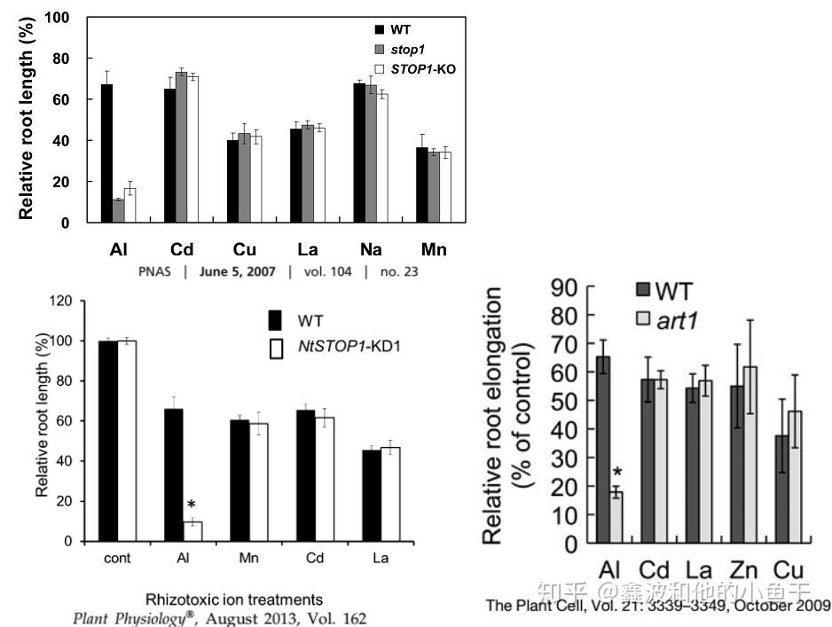 抗酸性土壤铝毒害的关键转录因子——STOP1 - 知乎