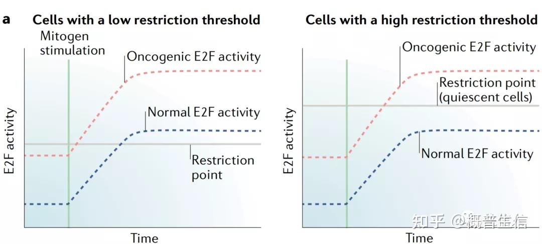 癌症中的E2F转录因子家族 - 知乎