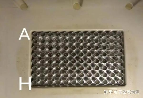 手把手教学——Bio-Rad T100 PCR仪操作方法 - 知乎