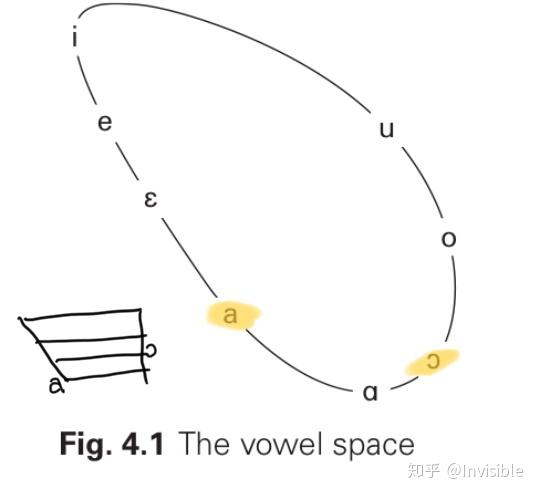 语音学笔记| Vowel - 知乎