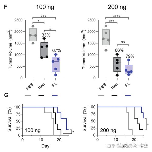 文献分享【Mol. Ther.】外泌体内源型装载的高效支架蛋白筛选 - 知乎