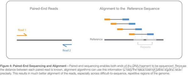 二代测序（Next generation sequencing）介绍 - 知乎