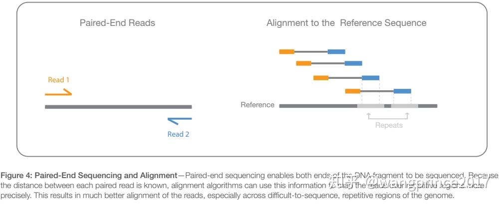 二代测序（Next generation sequencing）介绍 - 知乎
