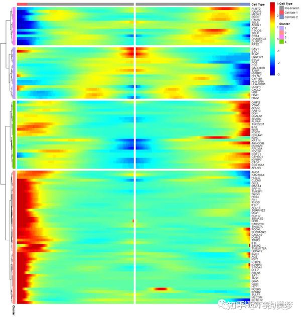 跟着Cell学单细胞转录组分析(十):Monocle2拟时分析演示之结果可视化（下） - 知乎