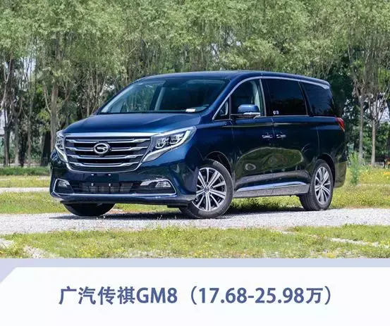 主流7座MPV都在这里！肉测最真实空间效果 - 知乎