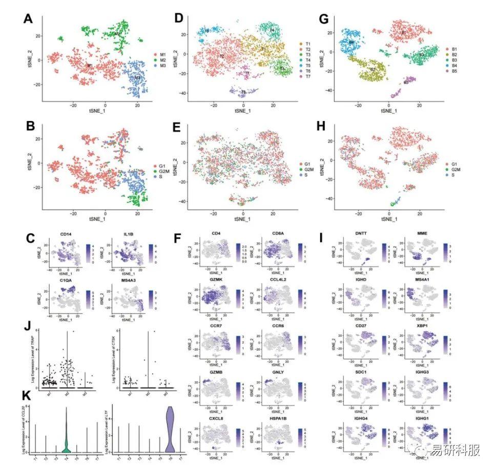 【10x Genomics单细胞转录组文章】利用单细胞RNA测序研究原发性人类股骨头组织细胞组成 - 知乎
