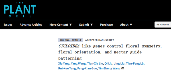 Plant Cell | 中科院植物所王印政研究组在花形、花朝向和花色关联进化研究中取得新进展 - 知乎