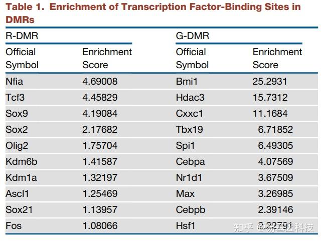 易基因： DNA甲基化差异水平分析中的DMC、DMR、DMG鉴定 | 干货分享 - 深圳市易基因科技 - 博客园