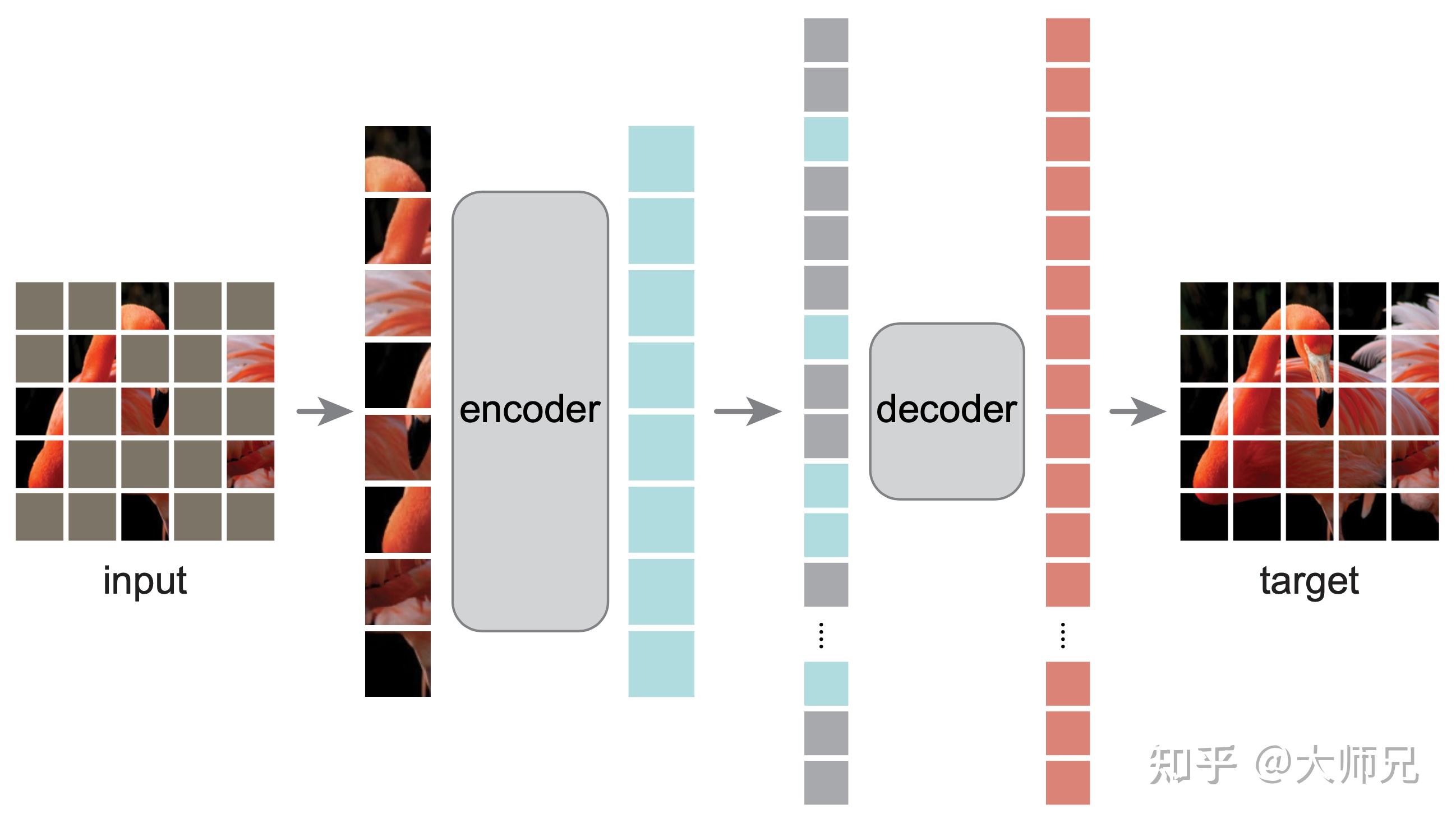CV预训练MAE（Masked AutoEncoder） - 知乎