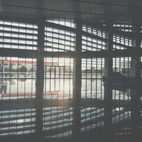 ESSD|全球GOSAT、OCO-2和OCO-3太阳诱导叶绿素荧光数据集 - 知乎