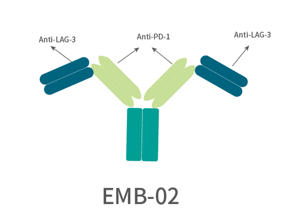 LAG-3靶点机制和研究进展 - 知乎