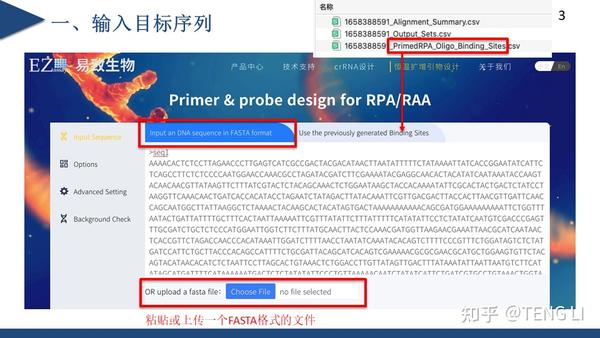 RPA/RAA primer 在线设计软件-demo - 知乎
