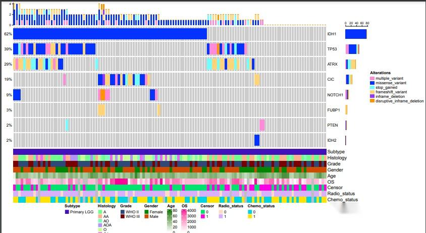 中国脑胶质瘤基因组图谱计划CGGA数据库使用分享，基因突变、表达、DNA甲基化、相关性及生存分析应有尽有 - 知乎