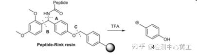 多肽固相合成常用树脂介绍 - 知乎