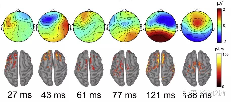 TMS-EEG概念介绍 - 知乎