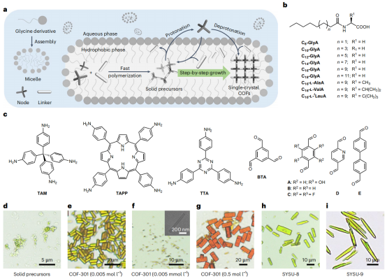 中山大学/北京大学《Nat. Chem.》：COF制备新策略！ - 知乎