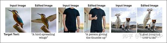 AI辅助图像编辑神器—走近Imagic和Runway Erase and Replace - 知乎