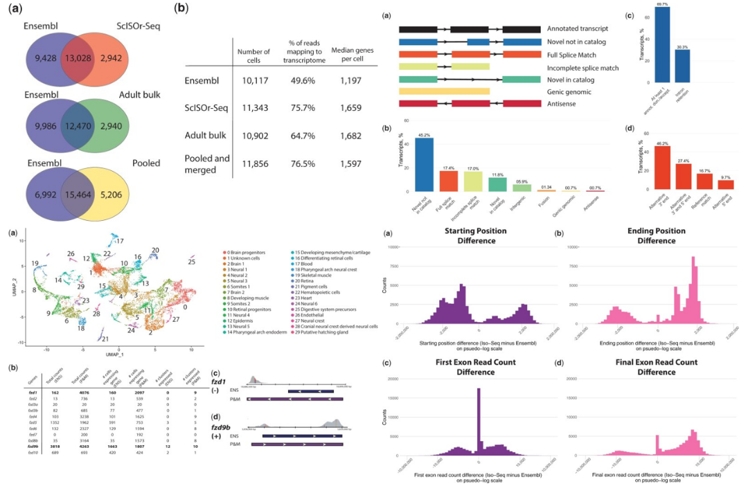 新锐视点 | 长读长测序家族之ISO-seq - 知乎