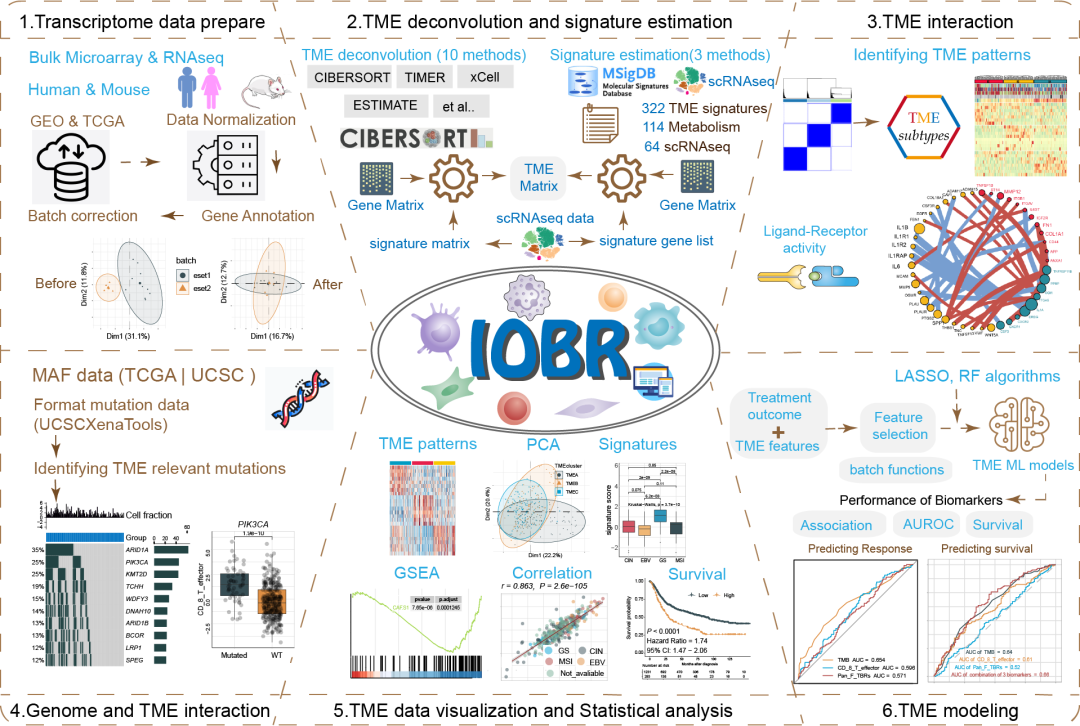 R语言cibersort算法为啥运行不出？ - 知乎