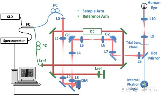 Biomed Opt Express：无波前传感器自适应光学相干断层成像（WSAO-OCT）在人视锥细胞镶嵌体活体成像中的应用 - 知乎