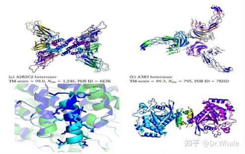 重磅！专注蛋白复合物结构预测的AlphaFold-Multimer - 知乎
