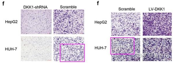 极大关注！高质量国产期刊STTT（IF38）发生创刊以来首次撤稿事件 - 知乎