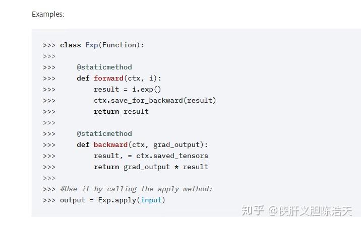 pytorch 实现Gradient Flipping 各种坑 - 知乎